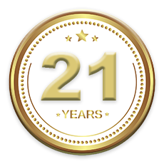 21 years of successful partnership - IT Solutions & Services Northern ...