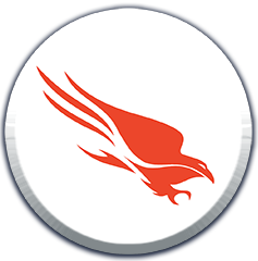 CrowdStrike - The Blue Screen Of Death - IT Solutions & Services ...